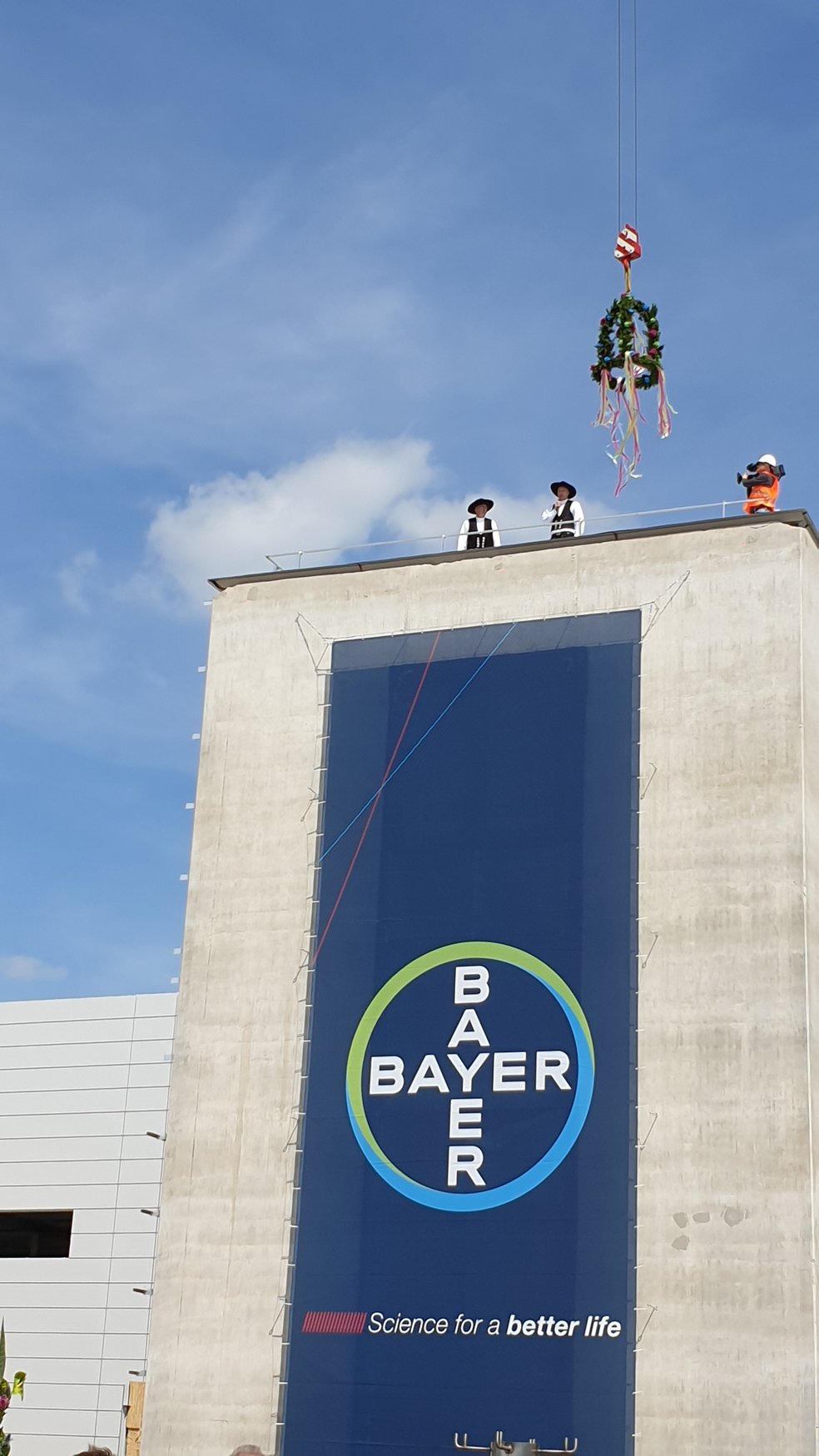 bayer construct